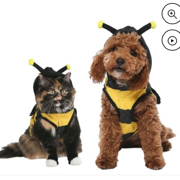 Vibrant Life | Dog | Nwt Vibrant Life Bumblebee Costume For Dogs Or ...